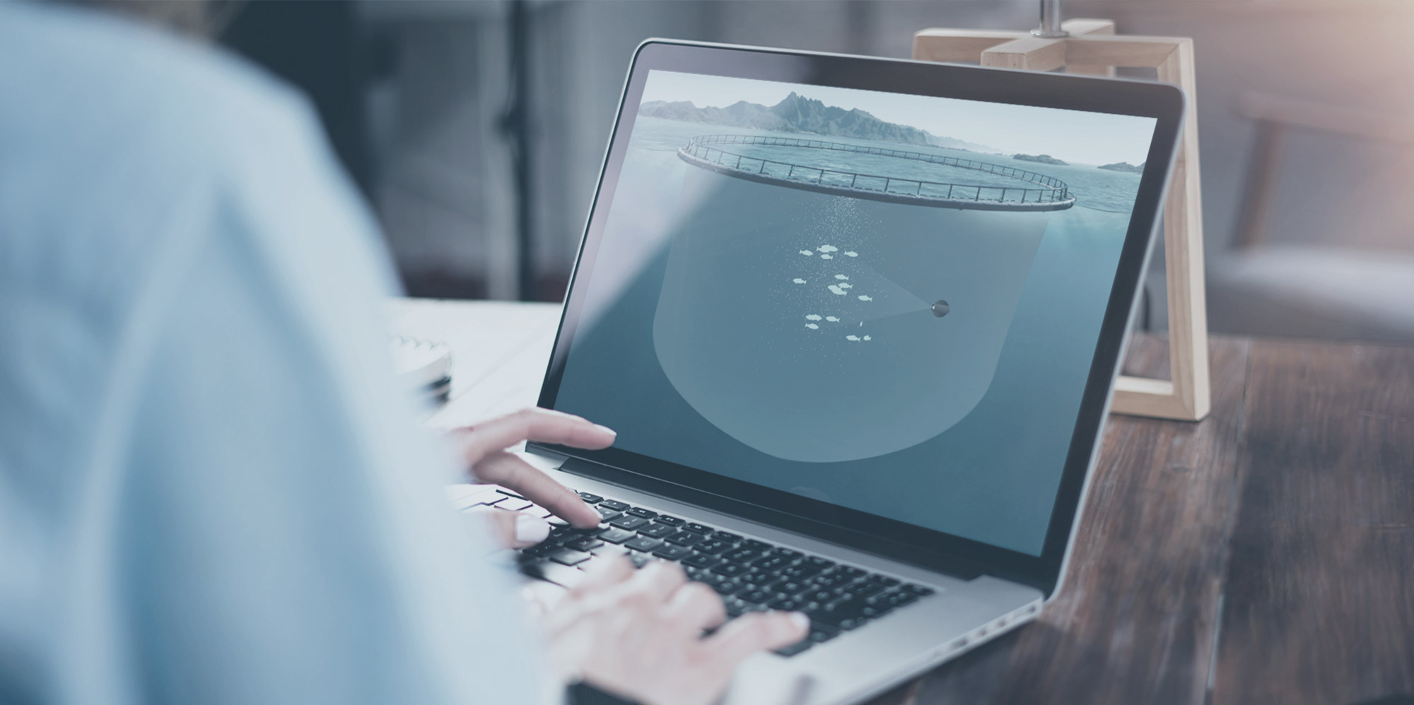 DrawTools - Simulation of feeding situations