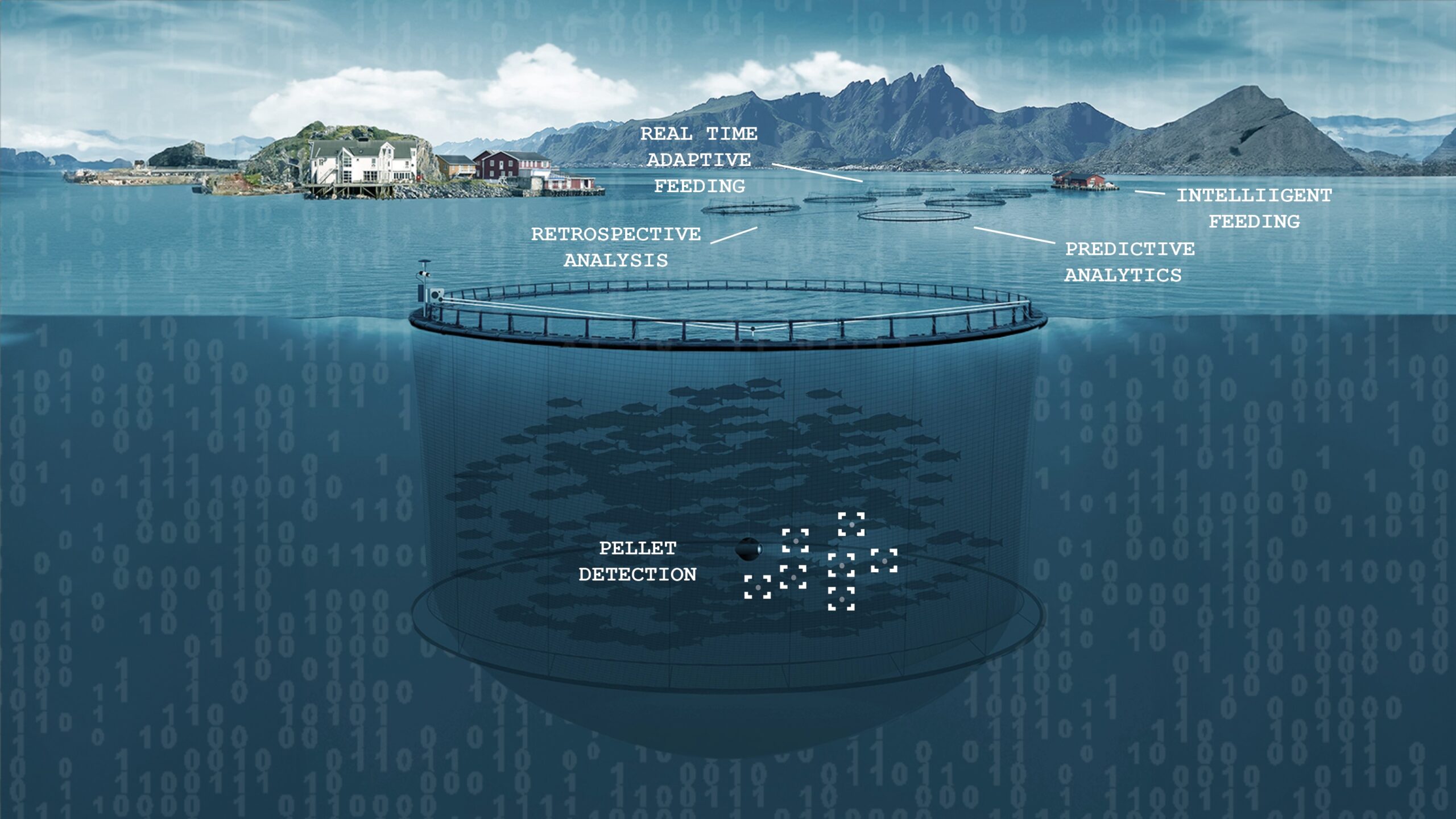Harnessing AI for Precision Aquaculture Feeding Optimization - Spillfree